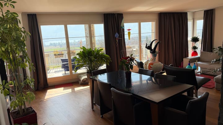 Gehobene Moderne Terrassenwohnung Mit Seeblick. - Rapperswil-Jona