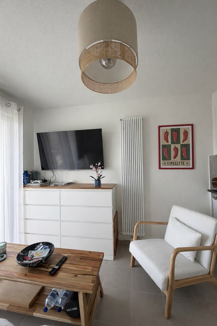 Studio Terrasse Vue Pyrénées • Parking Privé - Bayonne