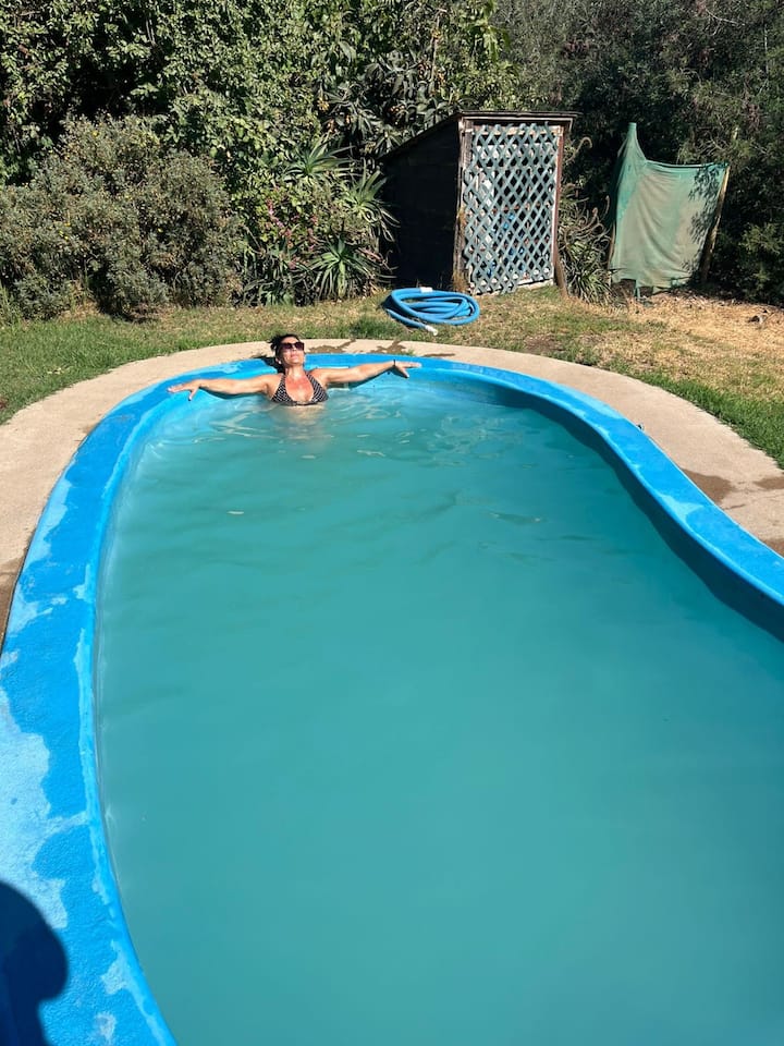 Cabaña Doña Paz Olmué - Olmué