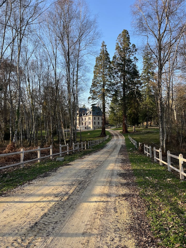 Château De Charme En Sologne - Suites & Bien êTre - Cher