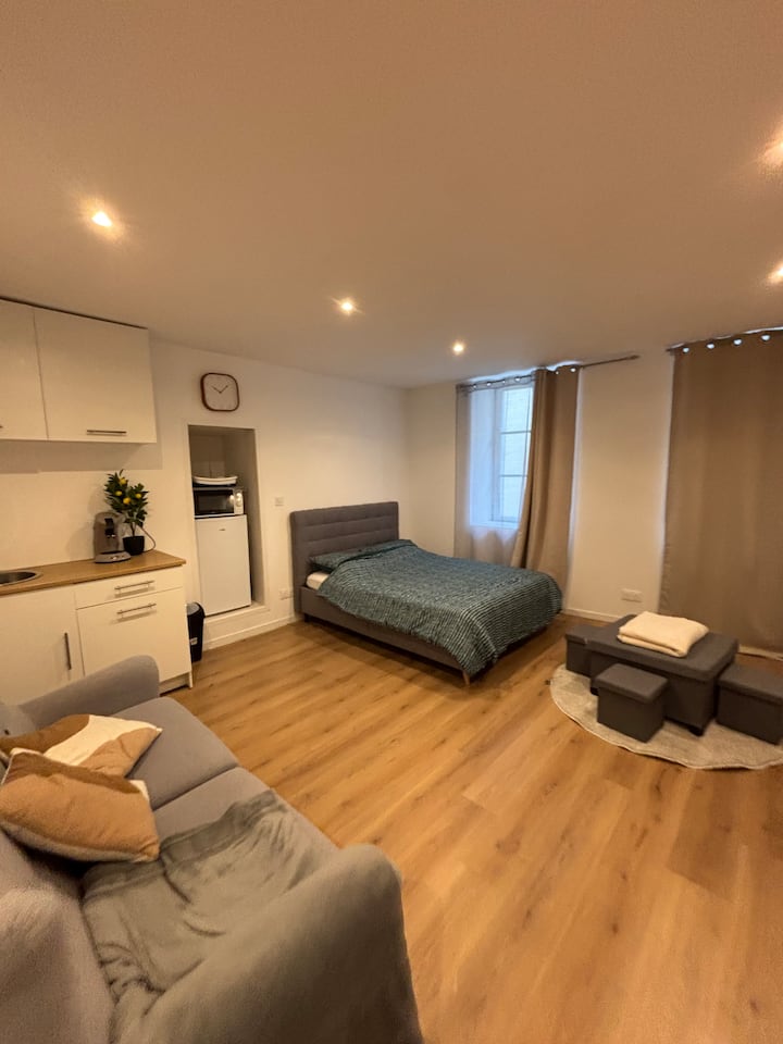 Studio Cosy Et Lumineux •Wifi •Bureau•tout Confort - Gray