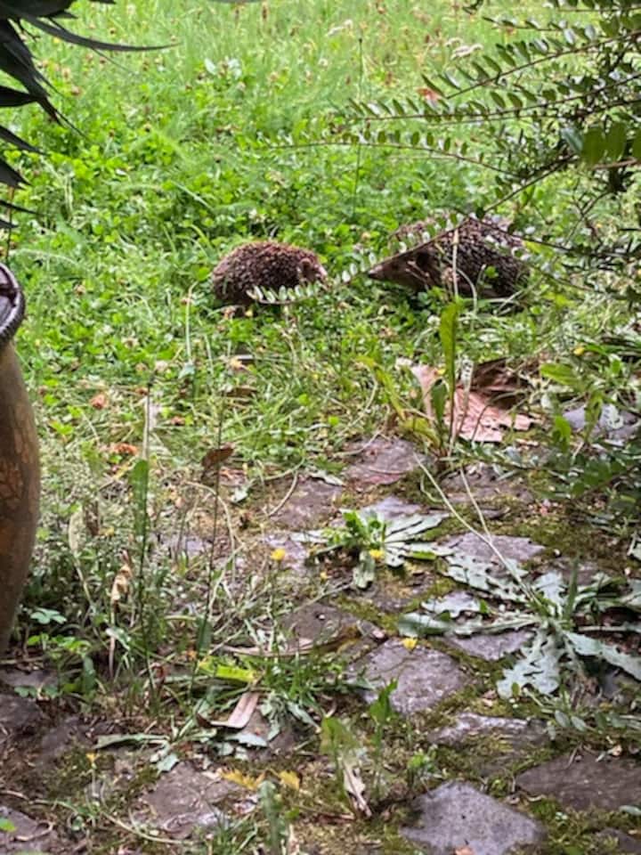 Test -Reihenhaus In Schwalbach-
Unter-überschrift - Steinbach (Taunus)