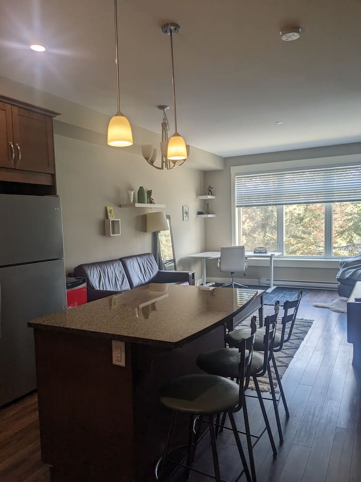 One Bdrm Apartment In Kamloops - Across From Tru - Kamloops