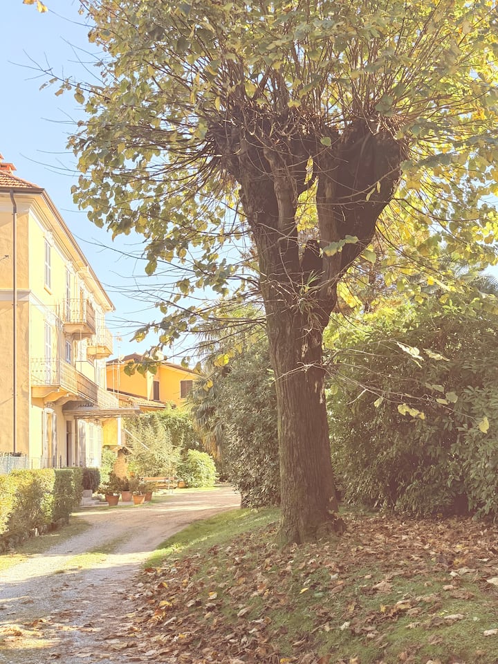 Edvina S Home - Baveno