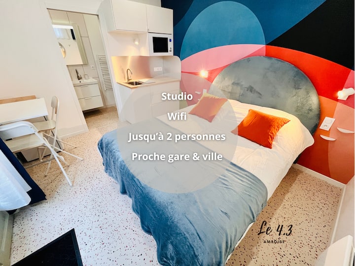 Studio Central Face Loire Et Château, Le 4.3 - Amboise