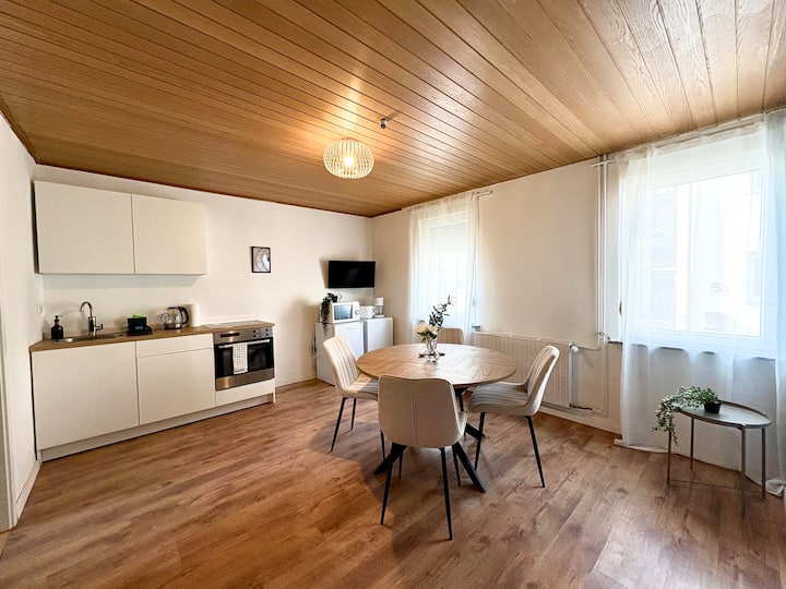 Geräumiges Apartment Für Monteure Und Handwerker - Bensheim
