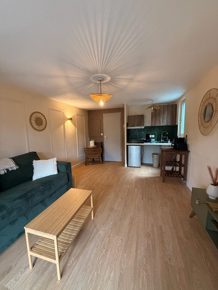 T2 Rénové Terrasse, Piscine - Bassin D'arcachon - Biganos