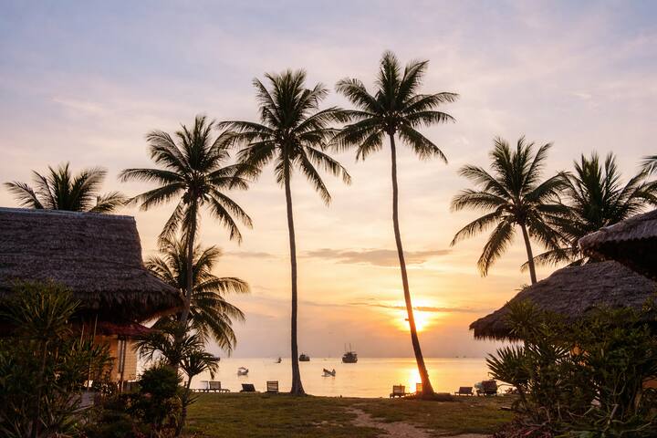 Dive & Stay | Beach Bungalow | Great Location - Ko Tao