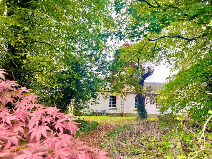 Cosy Stay For Two+ Kids, Dogs Welcome, Near Usk - Usk