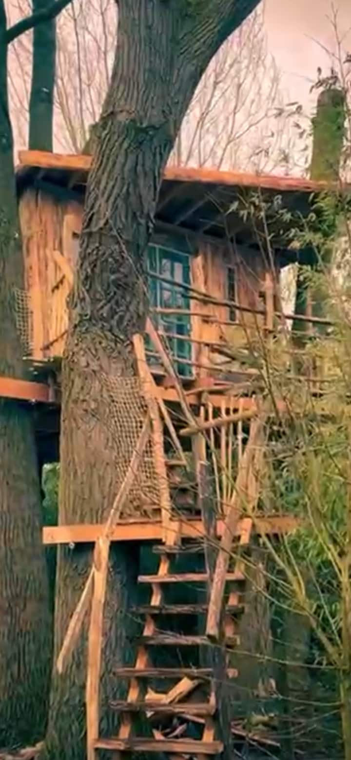 "Onetwotreehouse" (Hut Nr16) - Groningen