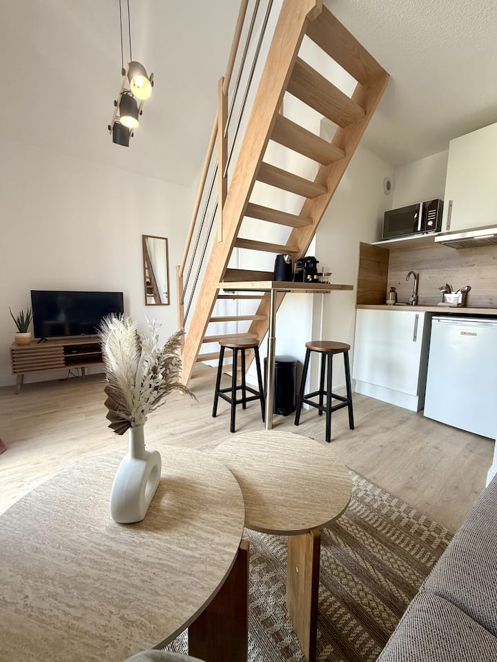 Le Bizoin - Duplex à La Gare - Rennes