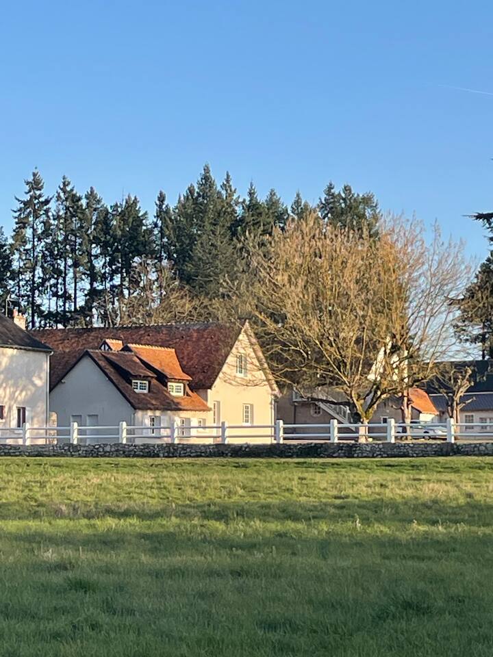 Chambre D'hôte Nature Blanche Dans Maison - Cheverny