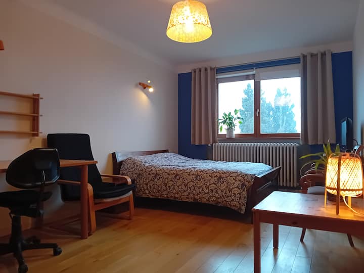 Ch#3 - Villa Des éCureuils - Dole