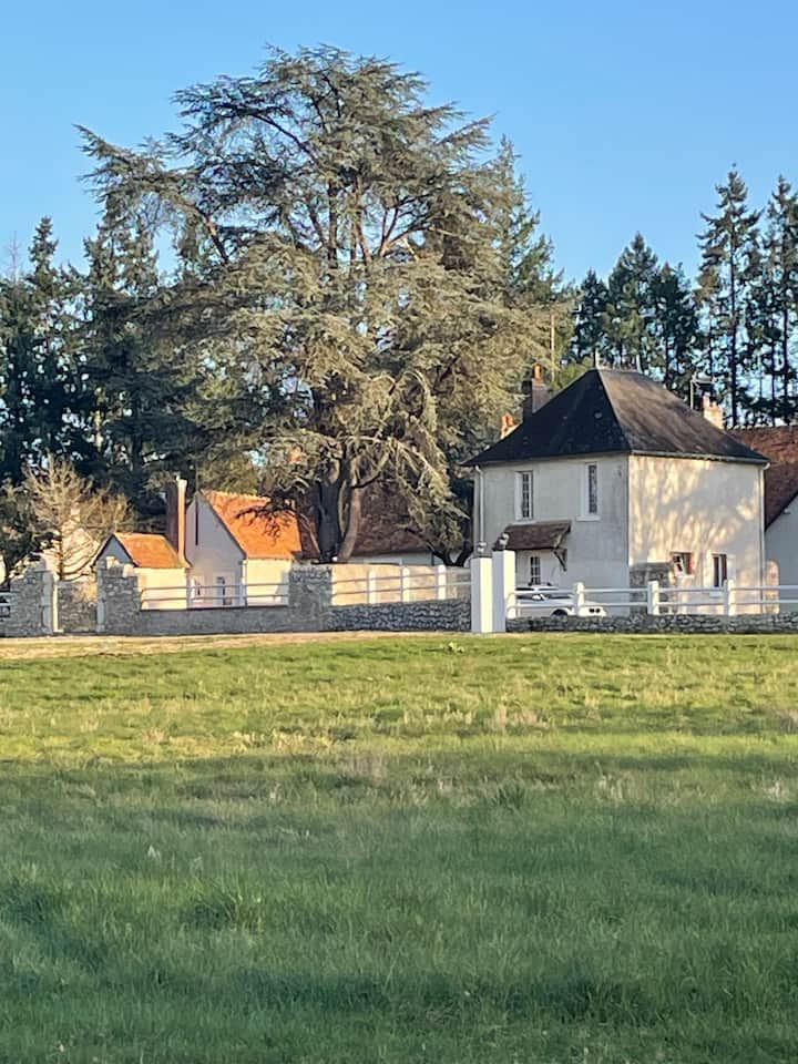 Chambre Verte Nature - Cheverny