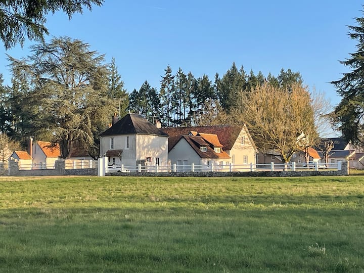 Chambre D'hotes Bleue Vue Jardin - Cheverny