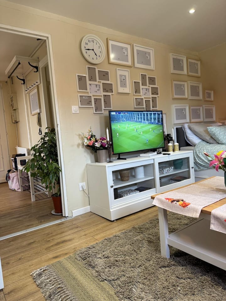 Appartement F1 Meublé - Illkirch-Graffenstaden