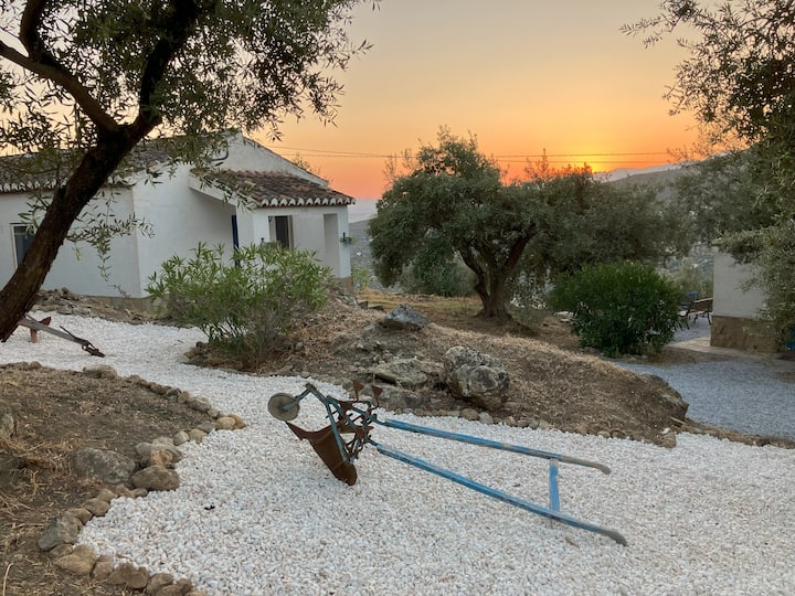 Casa Grandia Buena Vista - Alhama