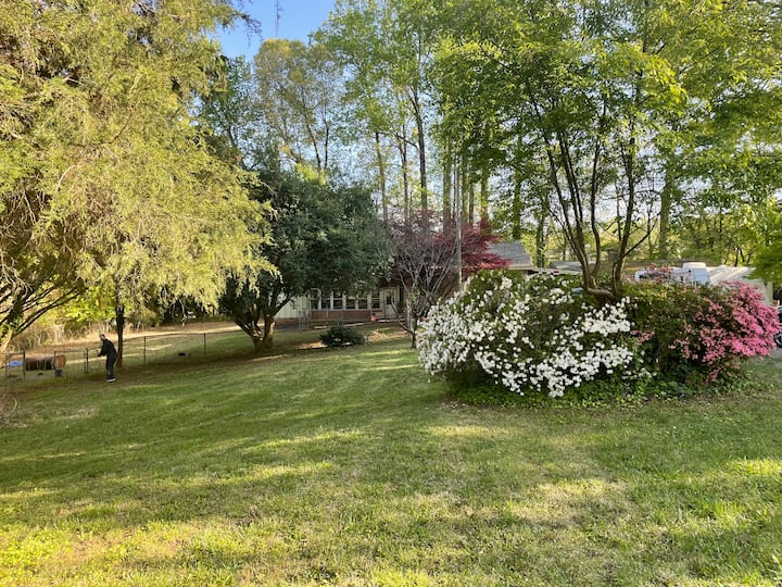 Hidden Oasis In The Middle Of Everything - グリーンズボロ, NC