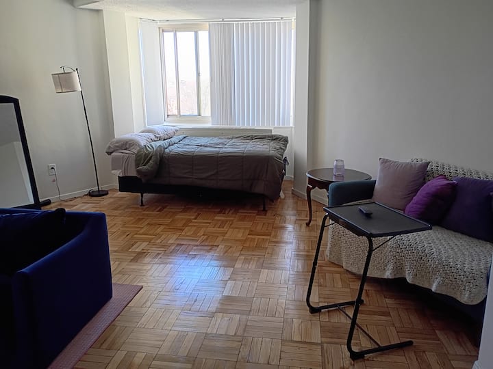 Gorgeous Studio Apartment In Adams Morgan! - Washington, DC