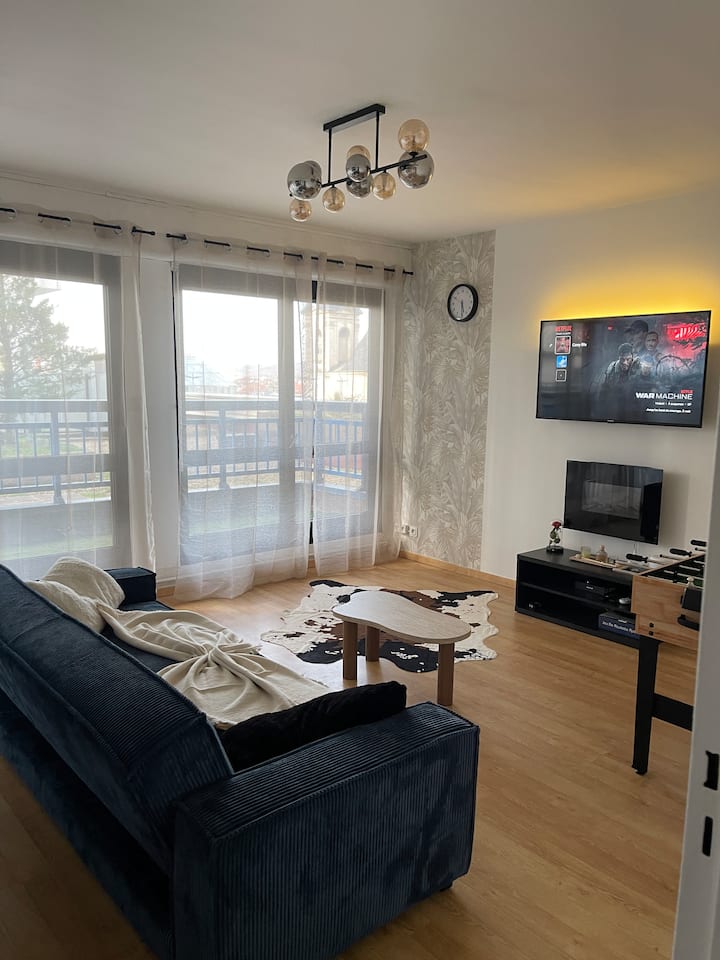 Appartement Cosy En Plein Cœur De Nancy - Nancy