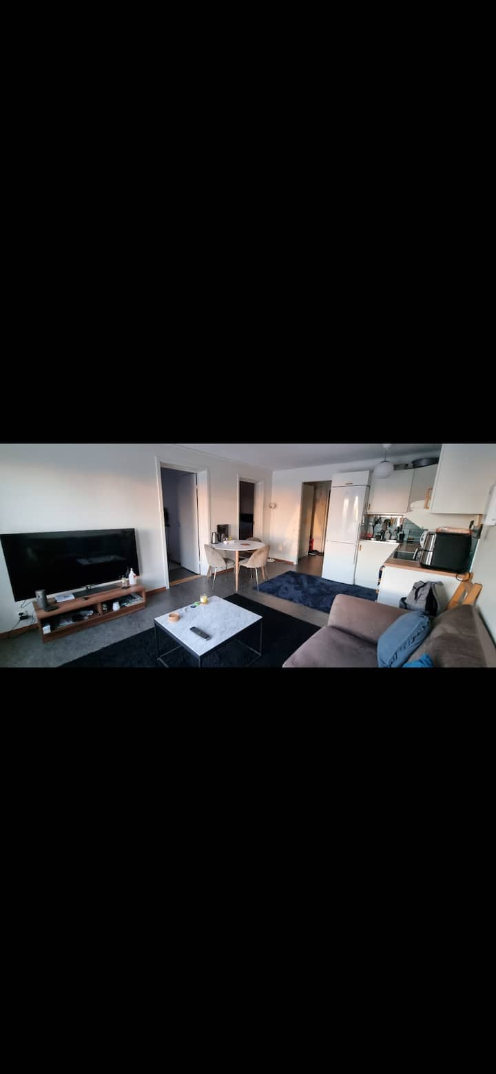 Central Modern Luxury Scandinavian Apartment - Stockholm