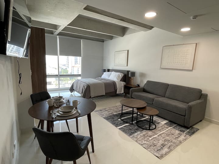 Moderno Loft En Paseo Santa Lucía - Mexico