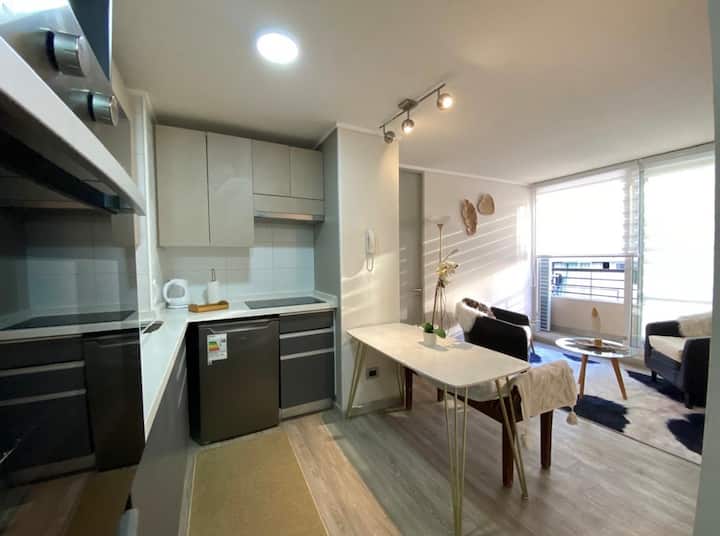 Cómodo Departamento Amoblado Ideal Para 3 Personas - Chile