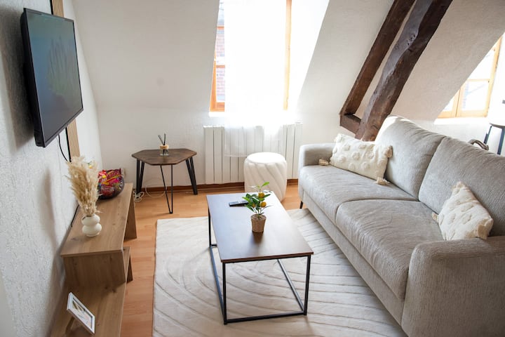 Le Charmant T2 Au Centre De Beauvais - ibis Beauvais Aéroport