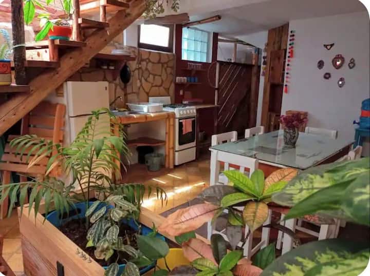 Casa Flores - San Cristóbal de Las Casas