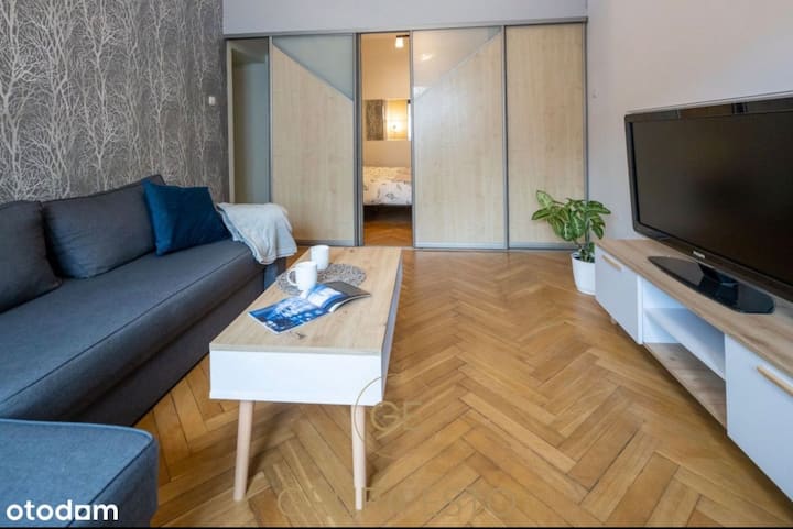Spacious 3rooms Old Town Apartment - Cracovie
