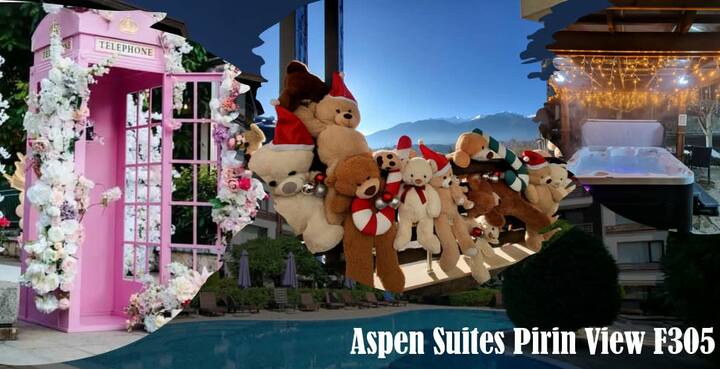 Aspen Suites Pirin View F305 - Belica