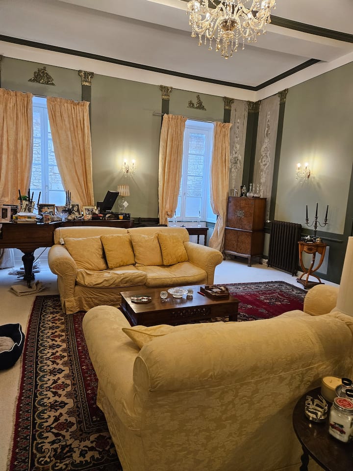 Luxury Chambres D'hotes In Historic Town - Fontenay-le-Comte