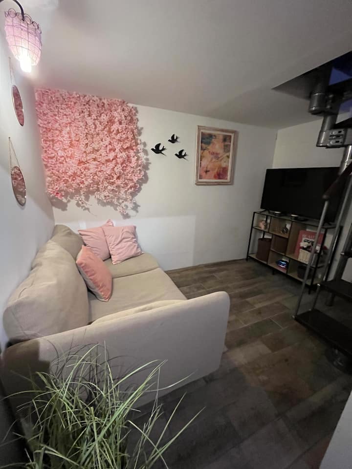 Maison Duplex Avec Jardin Tout à Pied St Mandrier - Saint-Mandrier-sur-Mer