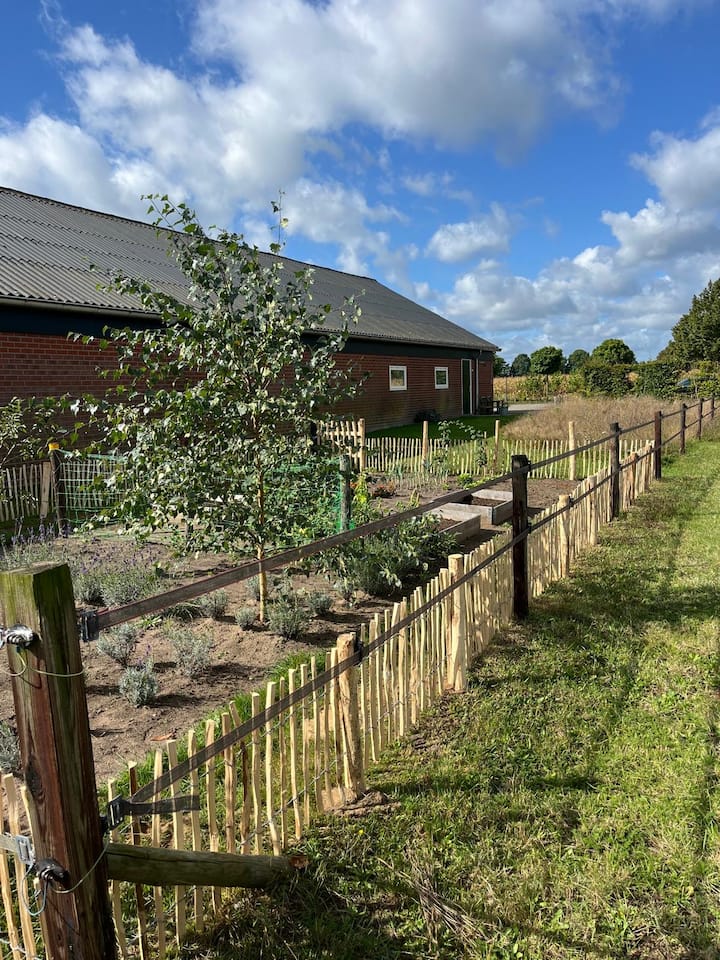 Nr41b Natuurhuisje In Harreveld - Aalten