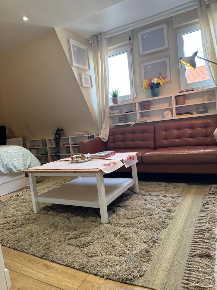 Appartement F1 Meublé - Illkirch-Graffenstaden