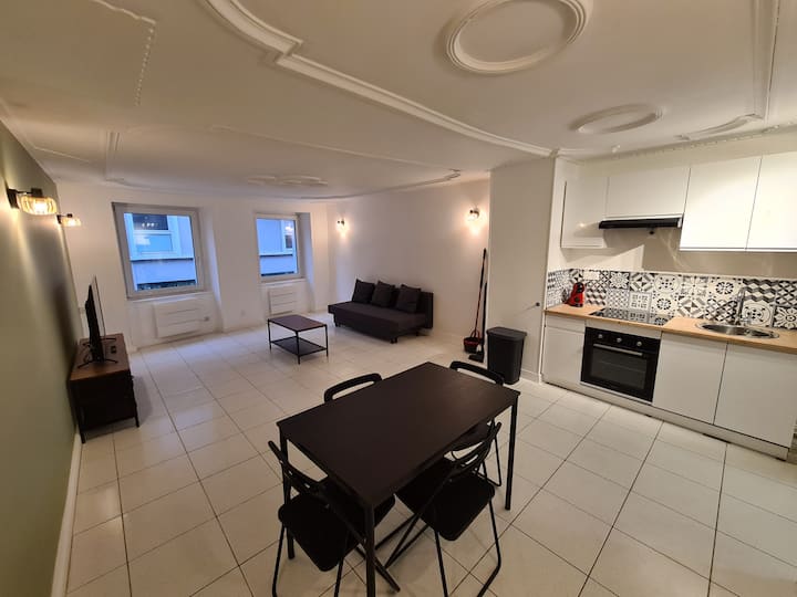 Grand Appartement Hyper Centre De Mulhouse - 米盧斯