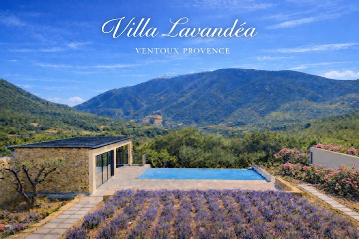 Villa Lavandéa | Vue Ventoux Exceptionnelle - Buis-les-Baronnies