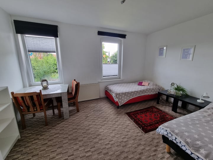 Schöne Große Und Helle Wohnung Mit Gartenblick - Hildesheim