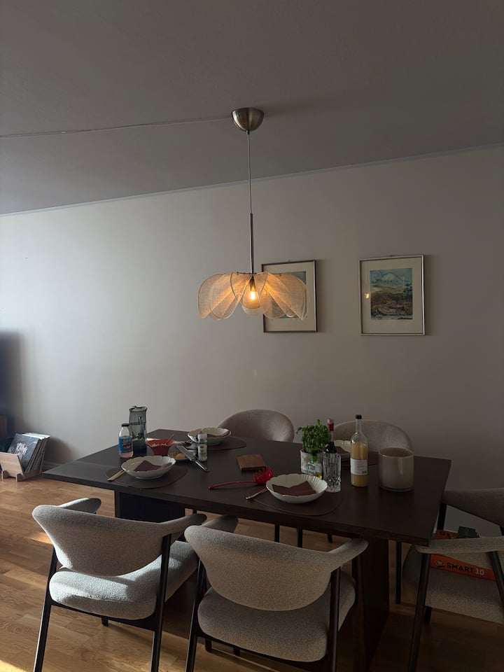 Lovely Apartment In Downtown Oslo - Oslo
