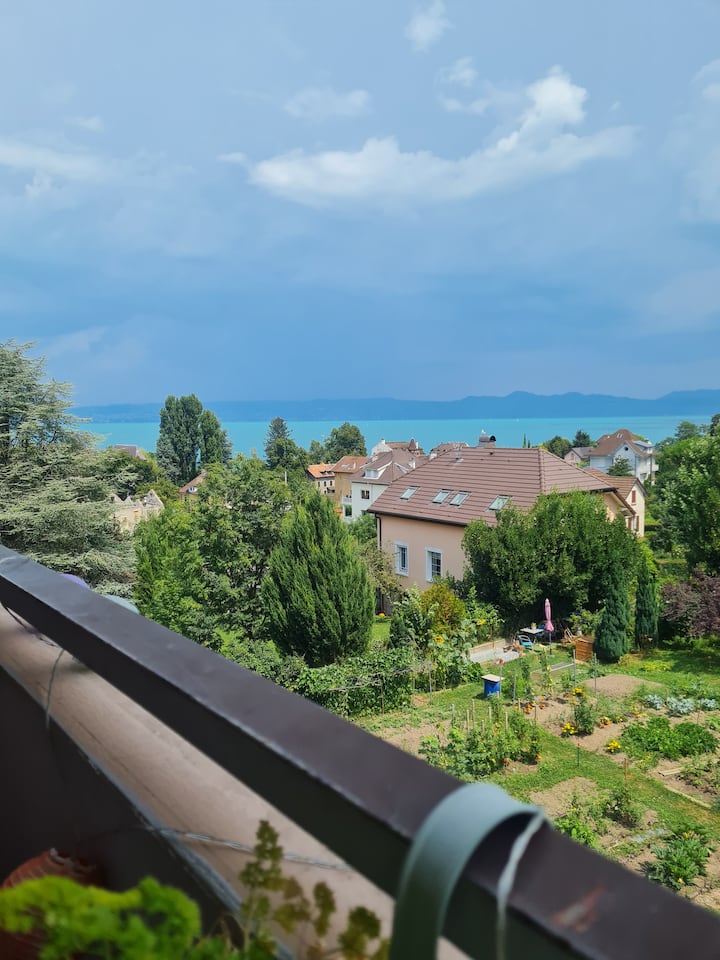 T4 Lumineux à 3 Min Du Lac – Vue Sur Les Alpes - Évian-les-Bains