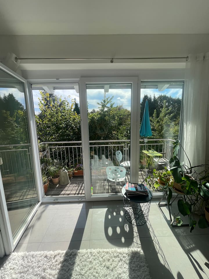 Dreimühlenviertel - Sonnige Wohnung Mit Isarblick - Munich