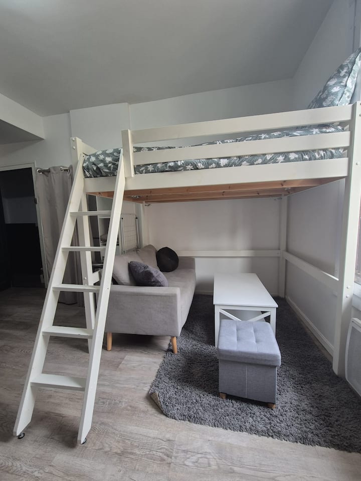 Beau Petit Studio - Grenoble