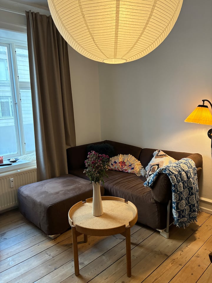 Hyggelig Nørrebro Lejlighed - Copenhagen