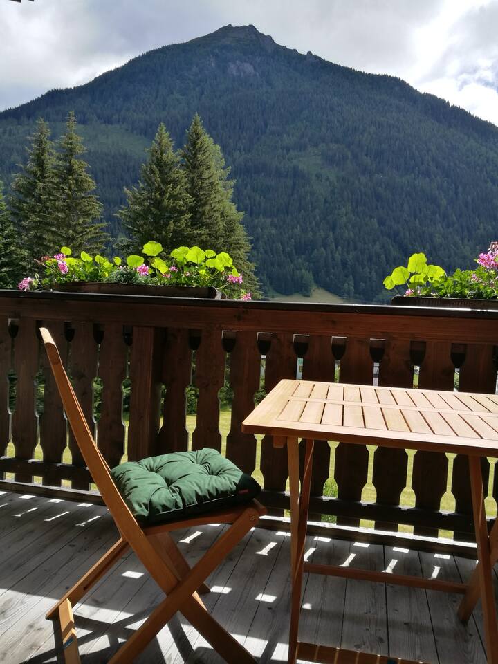 Appartement 8 - Mallnitz