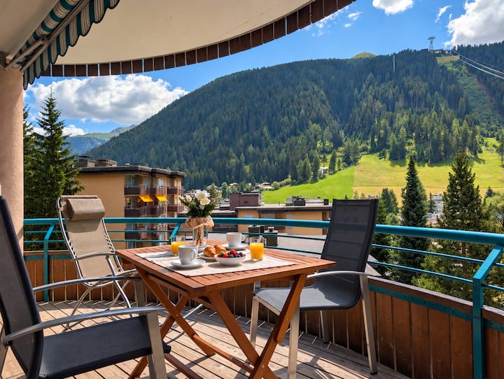 Campanula Star - Davos