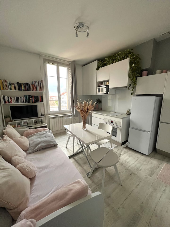 Appartement Lumineux Lyon - Lyon
