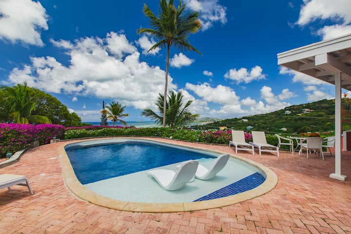 Flamingo Palms: A Pet-friendly Tropical Retreat - U.S. Virgin Islands