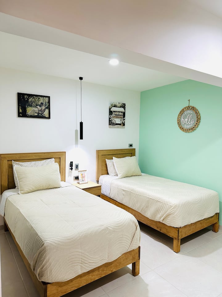 Loft Nuevo En Zona Centro Aguascalientes - Loft 4 - Aguascalientes