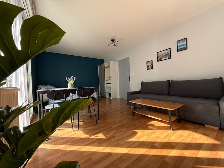 Grand Studio Renouvé Lumineux • Roazhon Park 100 M - Rennes