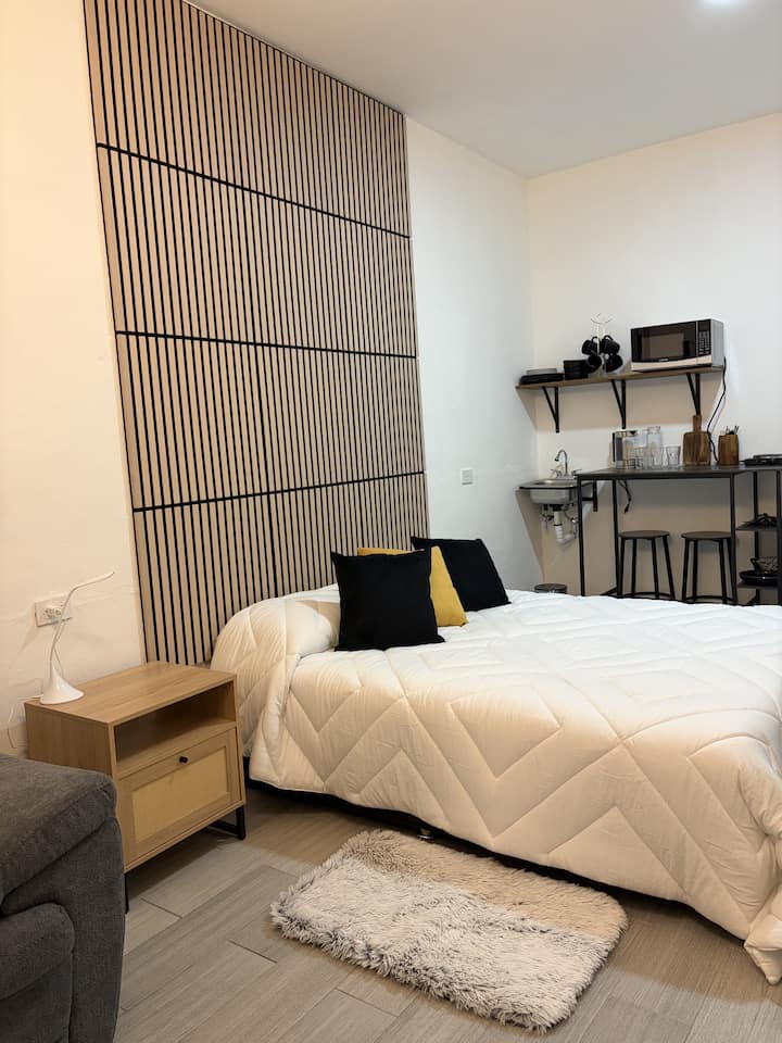 Loft Moderno En El Centro De Aguascalientes - Aguascalientes
